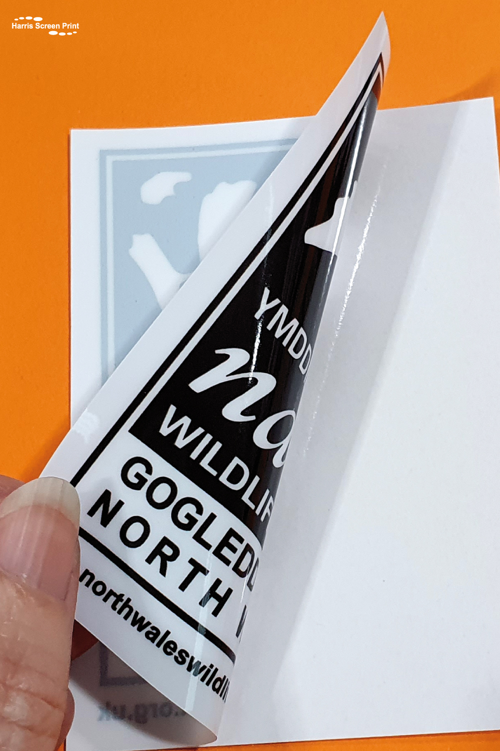 Latest News from Harris Screen Print